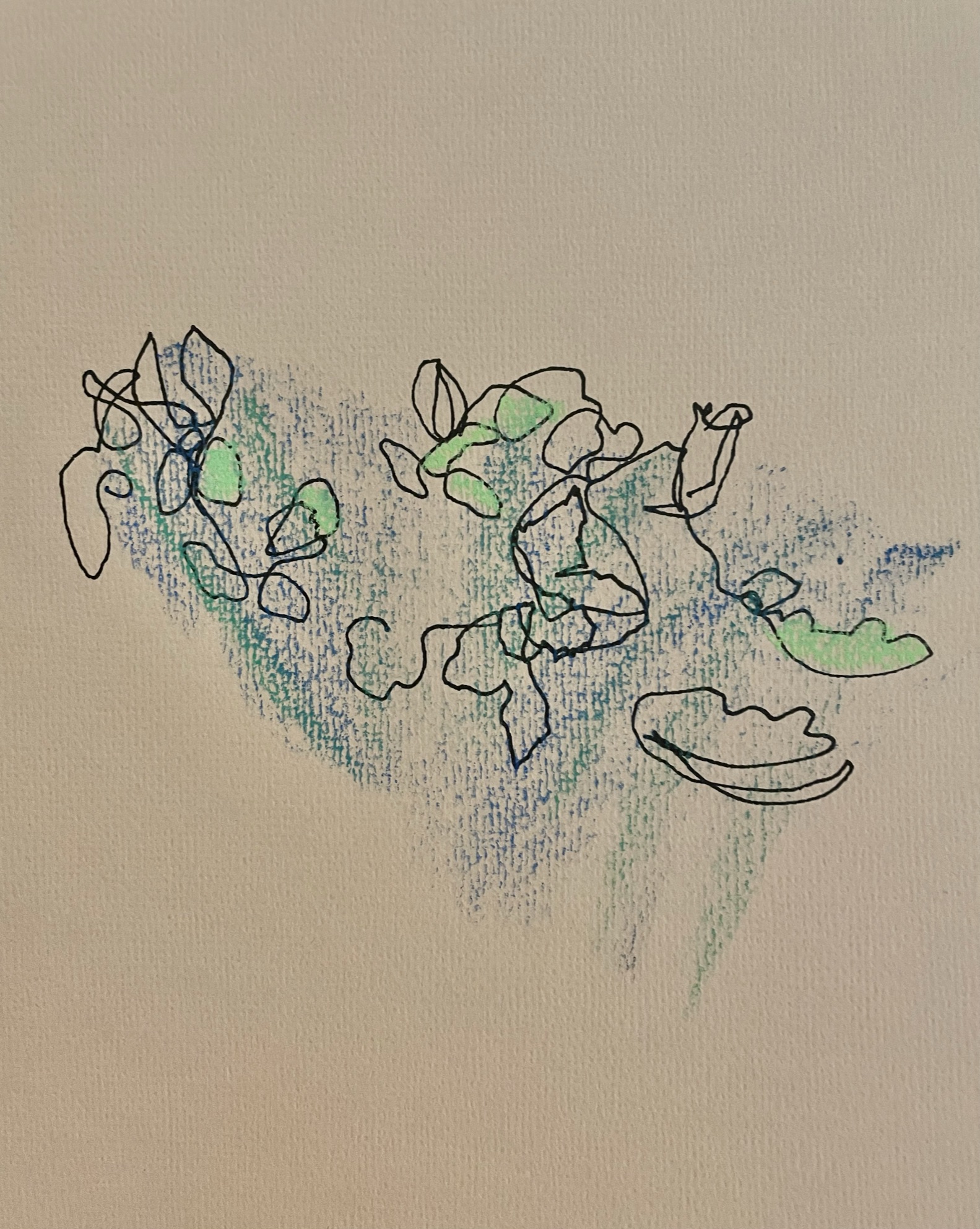 Alicia-Byrne-Keane-Sample-Illustration-1 – A4 Sounds